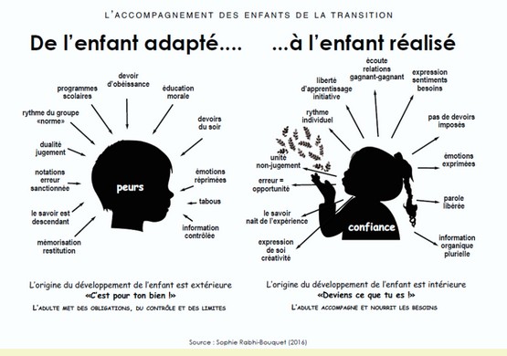 L'exemple d'une transition pédagogique : de l'enfant adapté à l'enfant ...