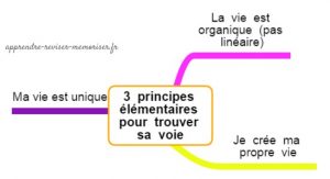 Comment trouver sa voie