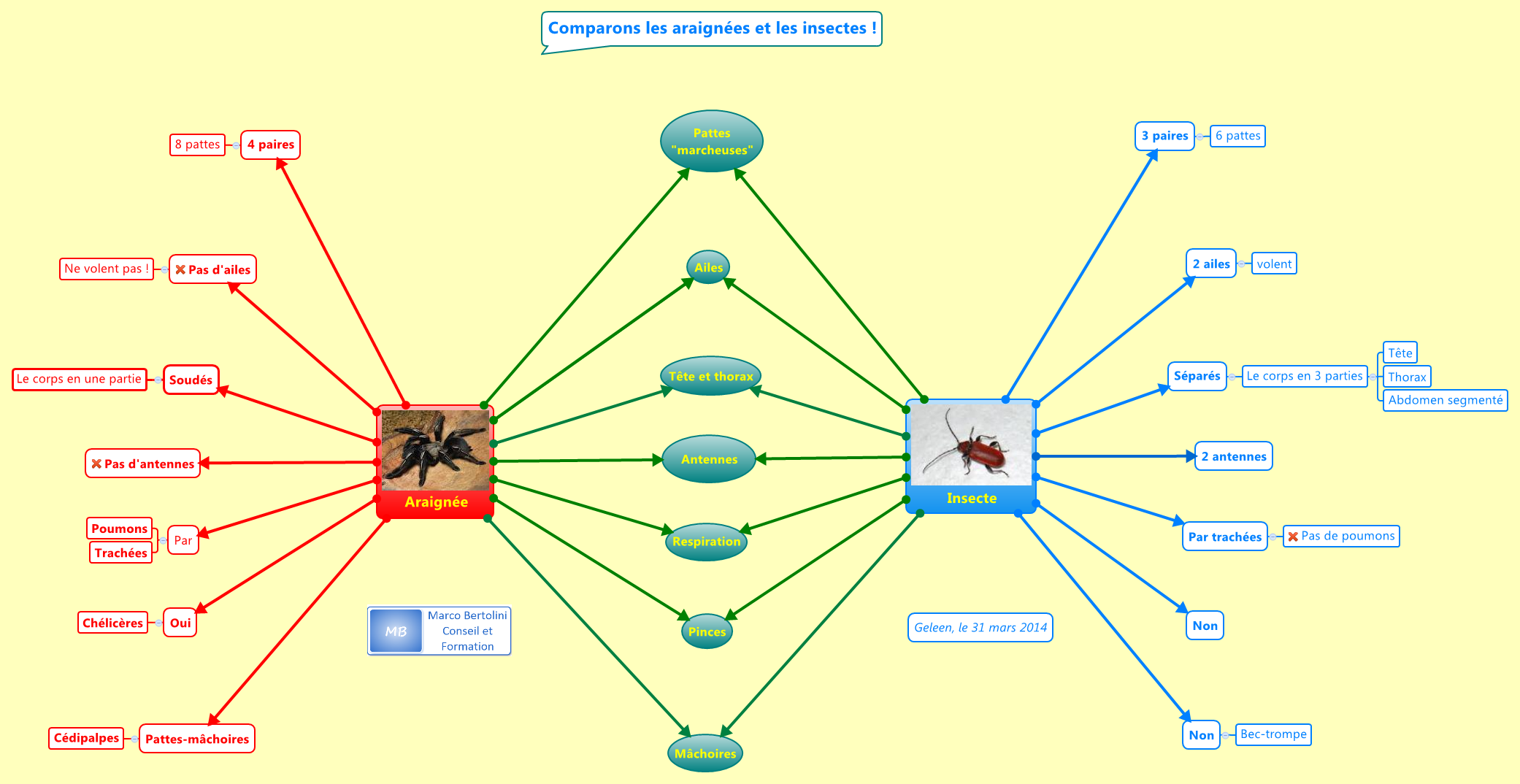 exemple double web - Apprendre, réviser, mémoriser