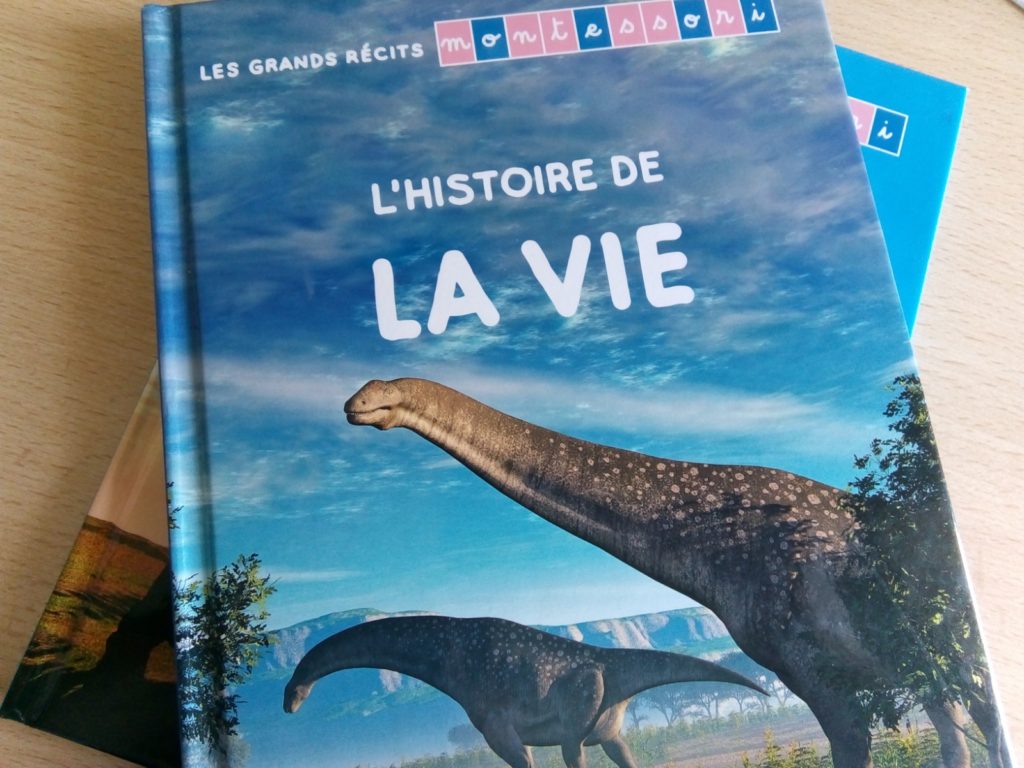 3 livres pour comprendre l'histoire de la vie sur Terre (par tranche d'âge)