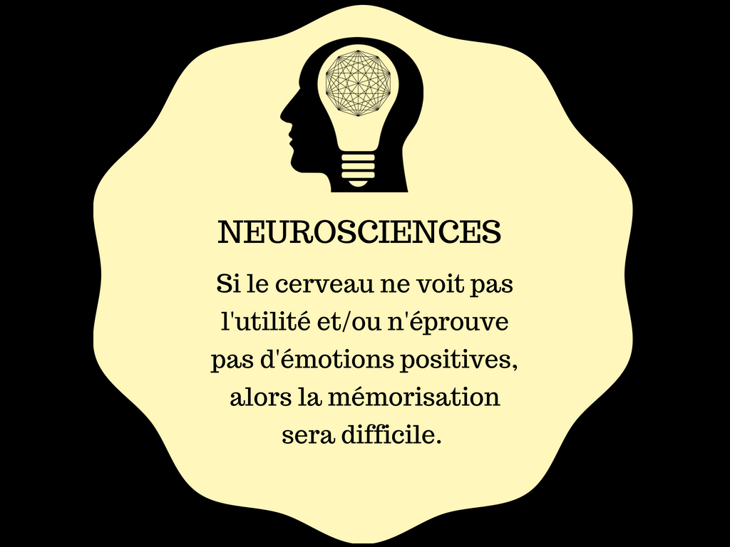 5 stratégies pour favoriser la mémorisation dans le cerveau
