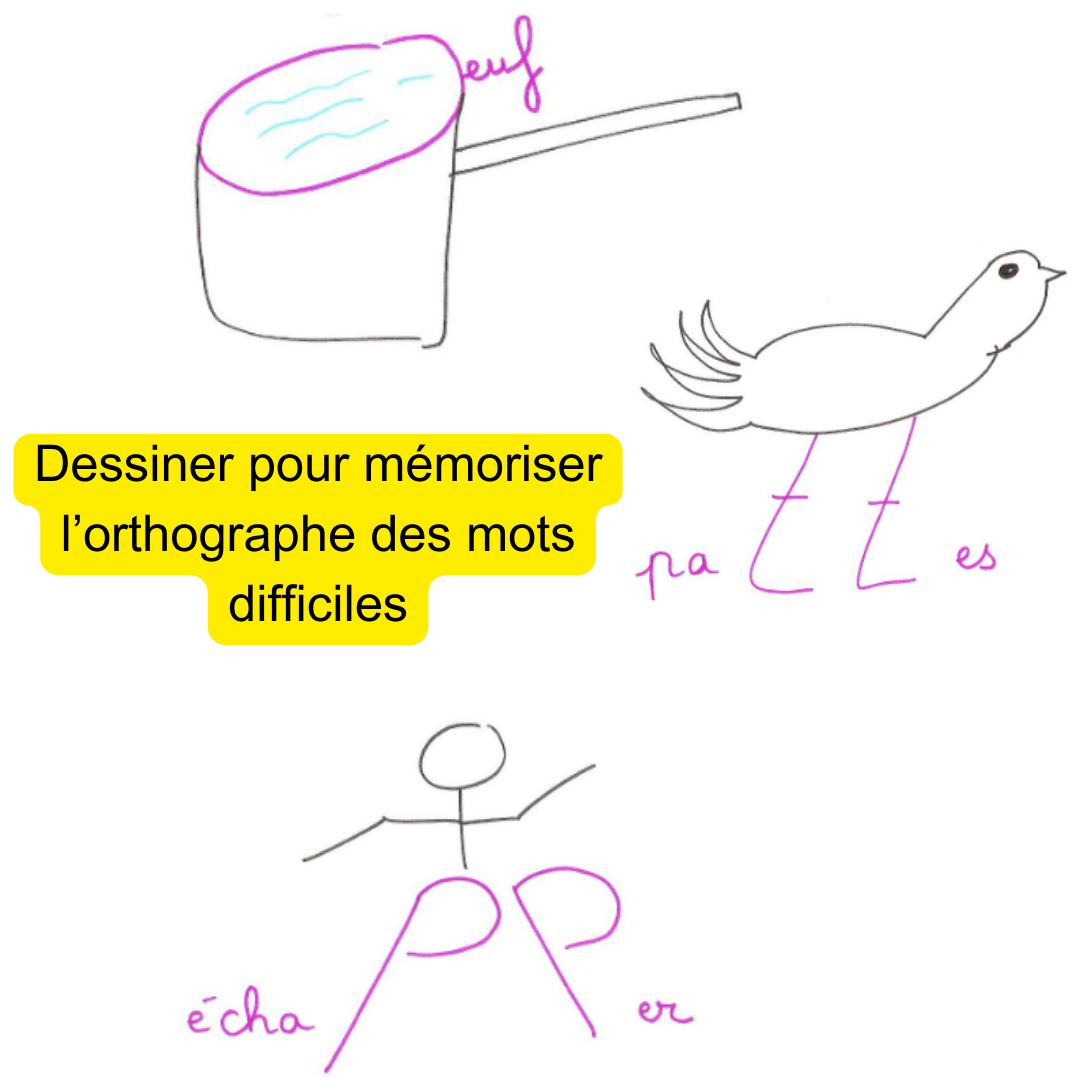 5 histoires pour mémoriser l'orthographe des mots difficiles