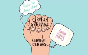 vidéo cerveau éducation émotionnelle - Apprendre, réviser, mémoriser