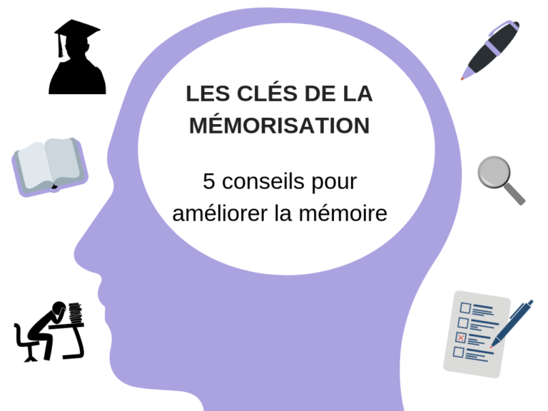 Les clés de la mémorisation : 5 conseils pour améliorer la mémoire