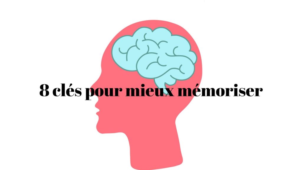 Comment mieux mémoriser ? 8 clés issues des sciences cognitives