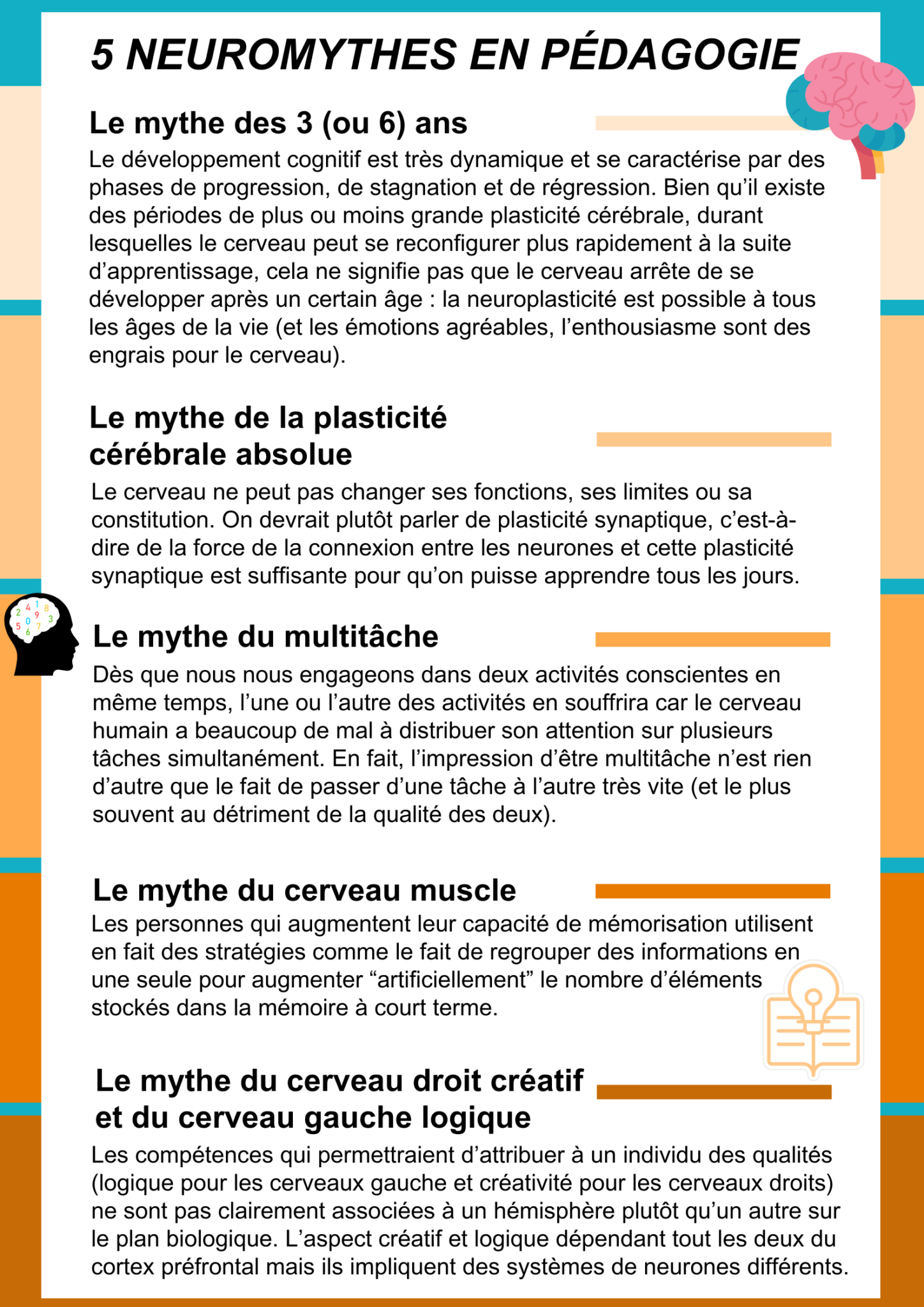 Neurosciences : 15 neuromythes toujours prégnants en pédagogie