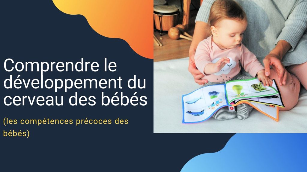 Comprendre Le Développement Du Cerveau Des Bébés Les Compétences