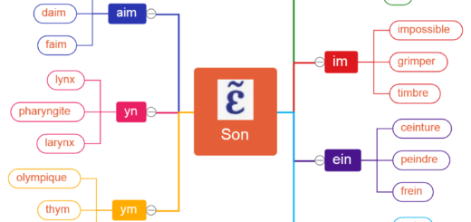 son Archives - Apprendre, réviser, mémoriser