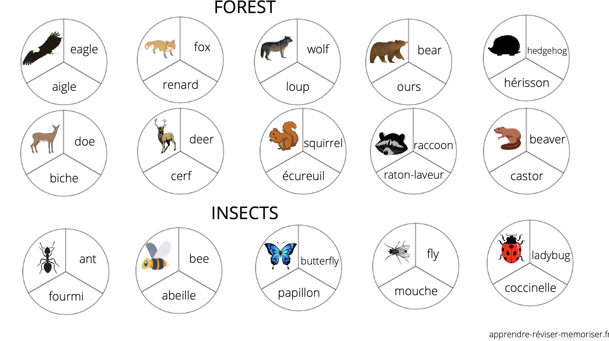 Un jeu pour apprendre le nom des animaux en anglais