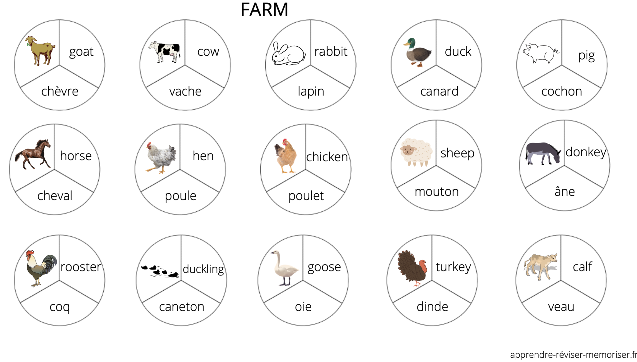 Un jeu pour apprendre le nom des animaux en anglais