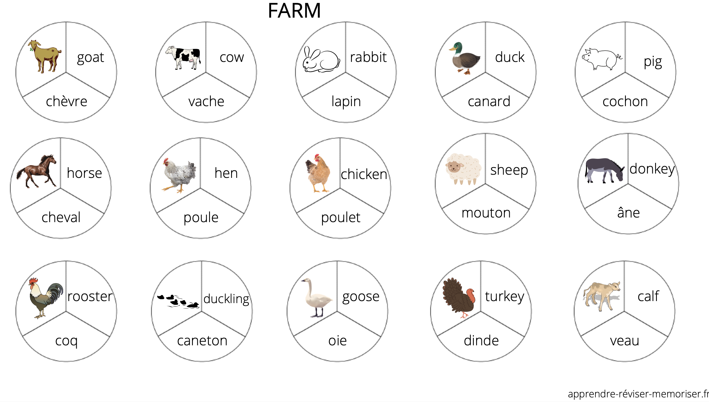 jeu Apprendre le vocabulaire des animaux en anglais - Apprendre ...