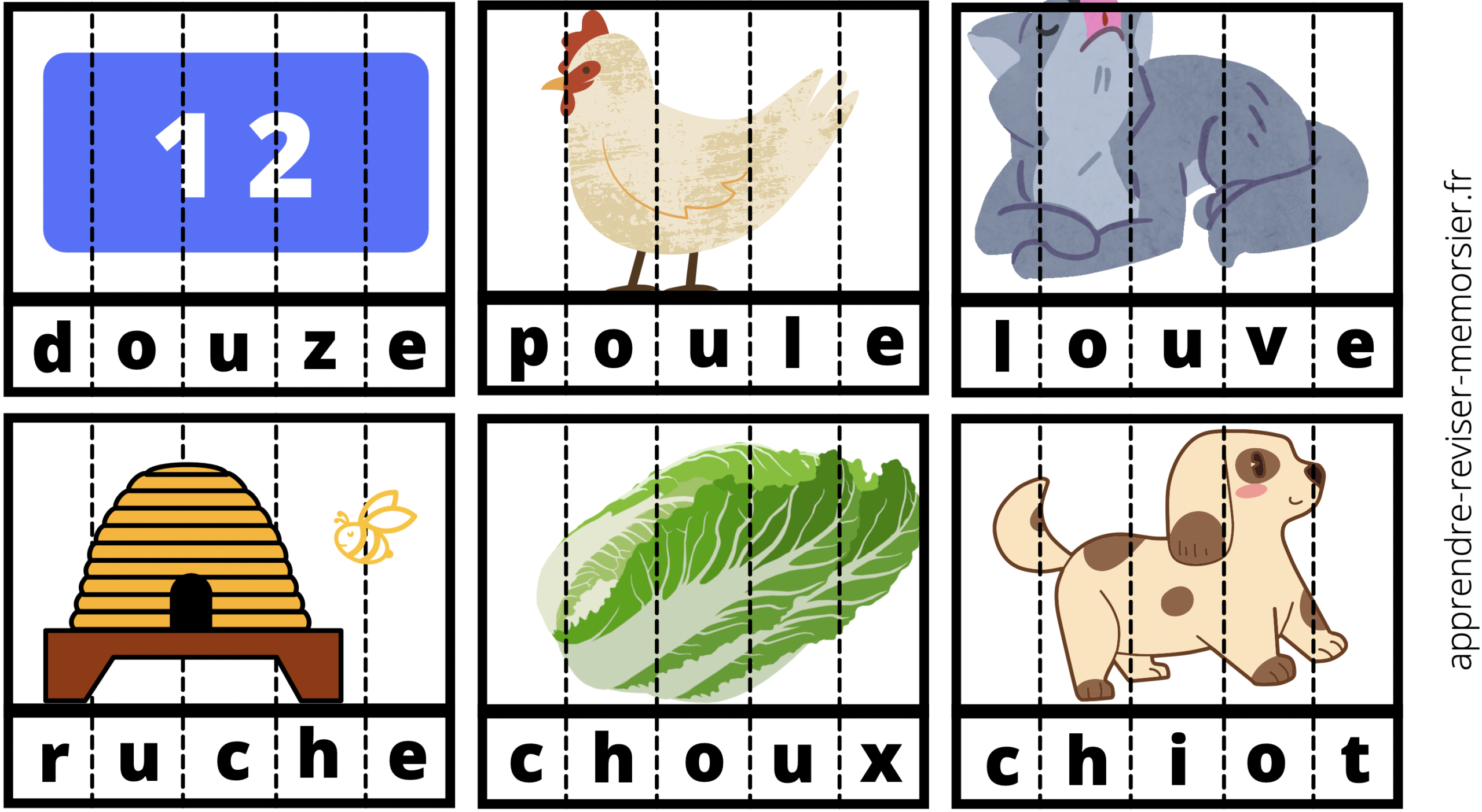 CP/ CE1 : 24 cartes de lecture avec des digrammes