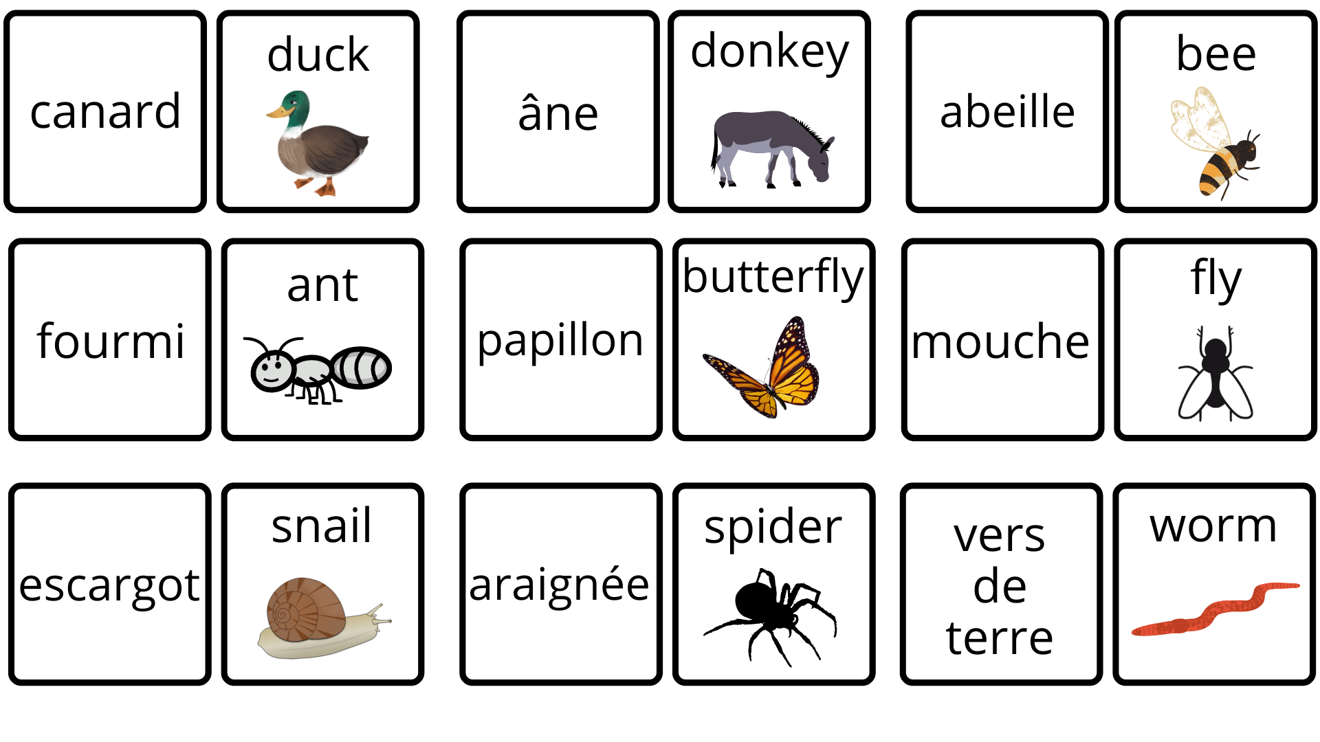 vocabulaire animaux courants anglais - Apprendre, réviser, mémoriser