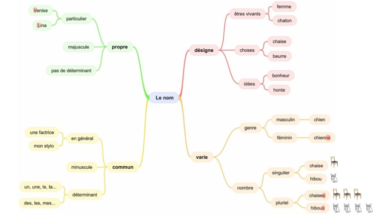 Français : carte mentale du nom (grammaire cycle 2) - Apprendre ...