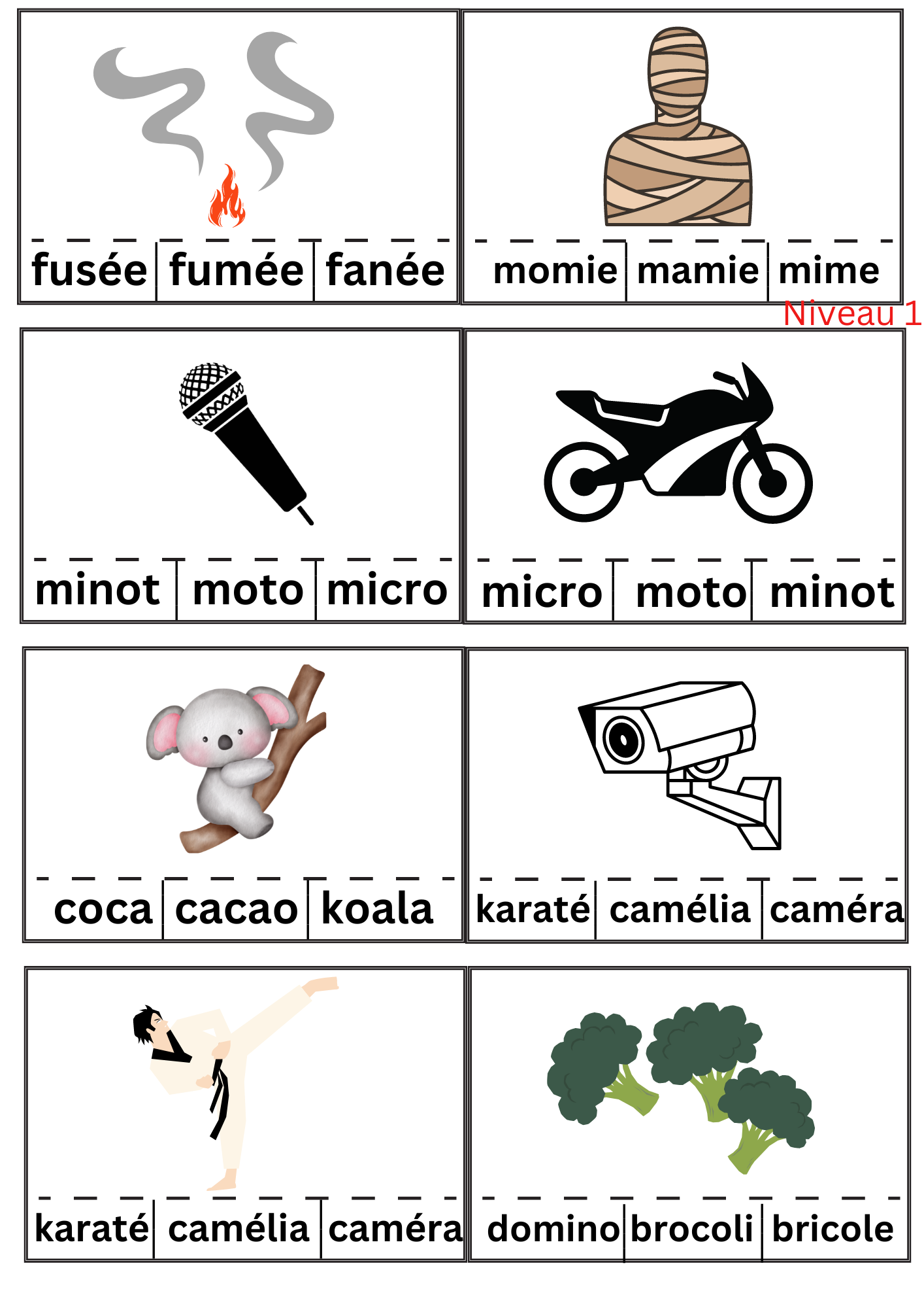 24 cartes pour lire des mots (graphèmes simples et complexes - 3 niveaux)