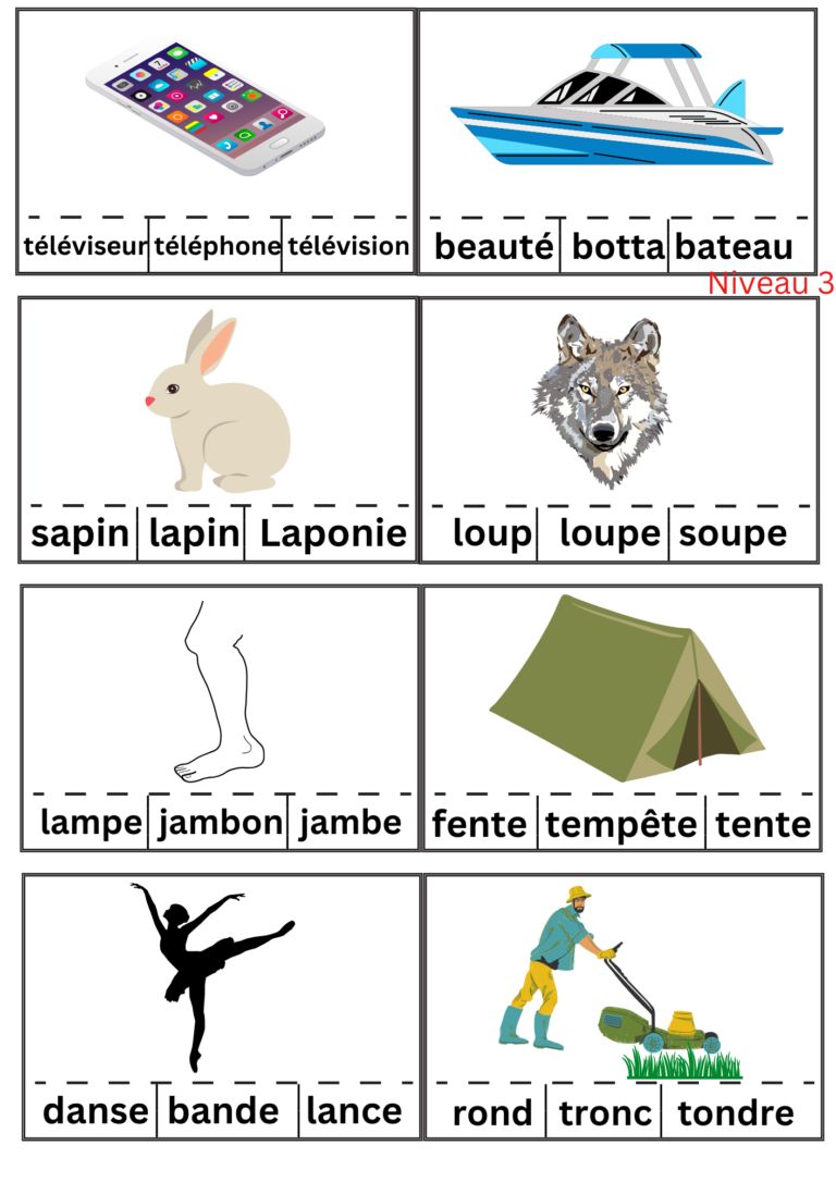 24 cartes pour lire des mots (graphèmes simples et complexes - 3 niveaux)