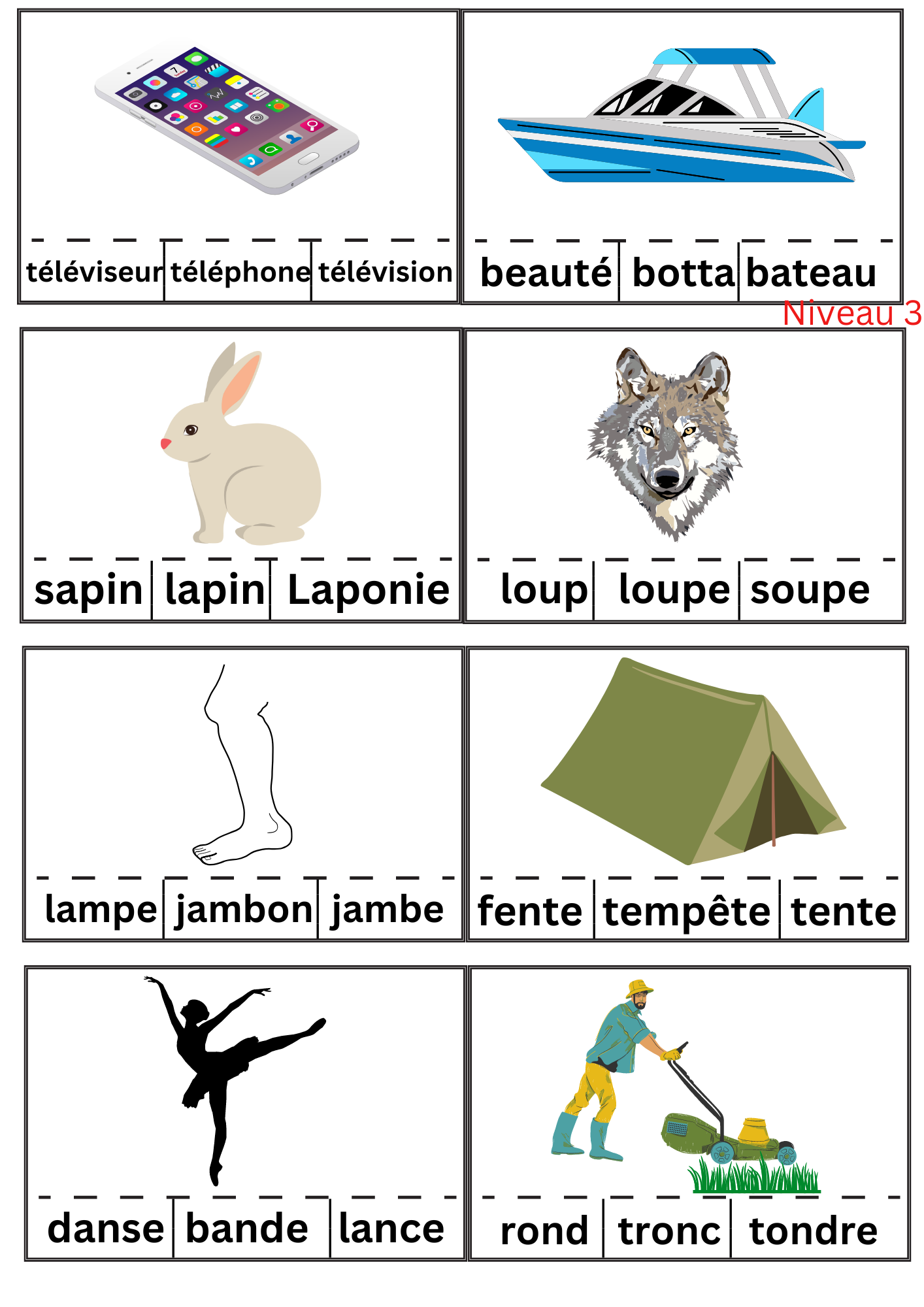 24 cartes pour lire des mots (graphèmes simples et complexes - 3 niveaux)