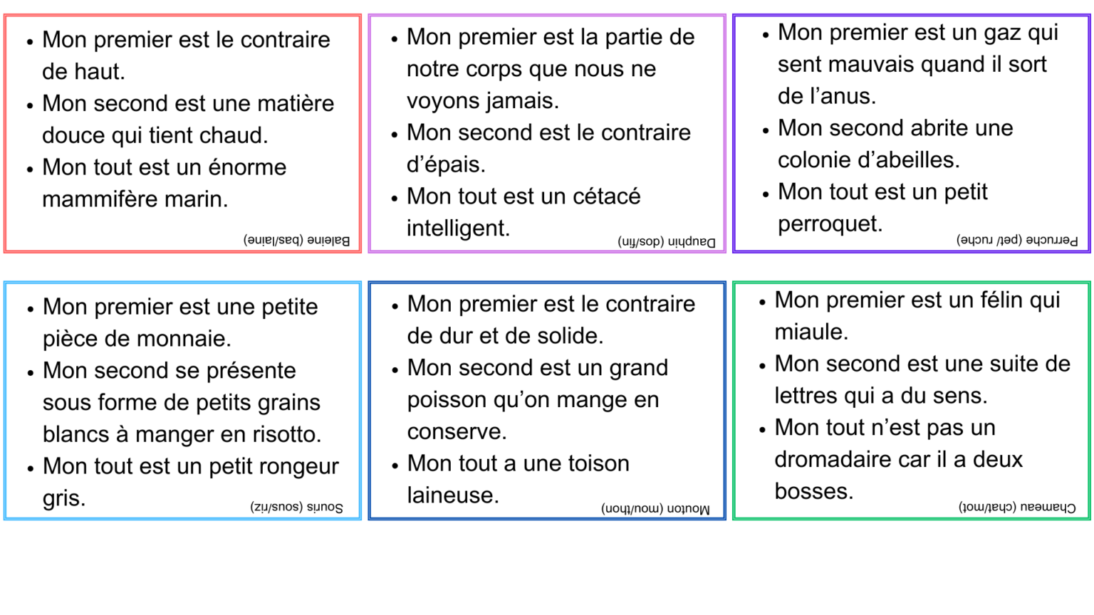 Charades sur les animaux : 12 charades faciles pour les enfants