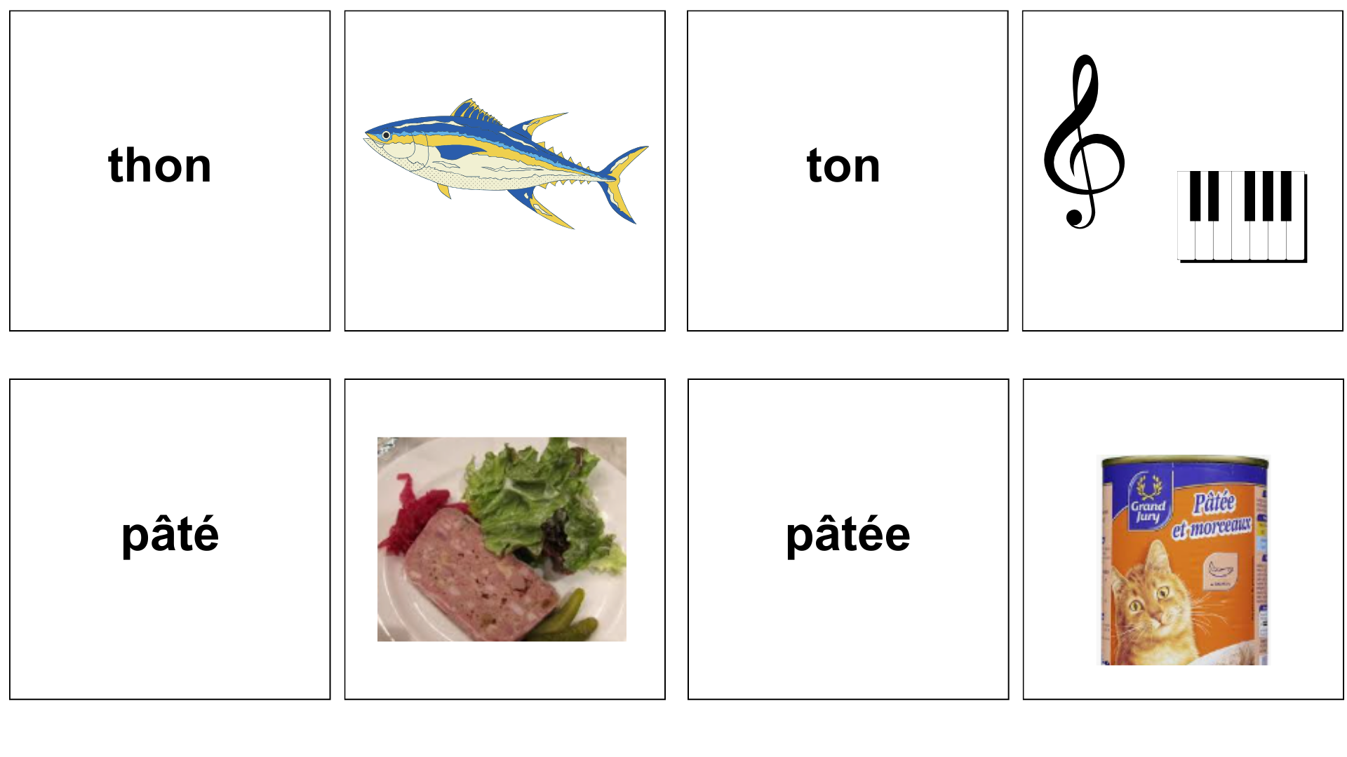 jeu cartes sur les homonymes cycle 2 - Apprendre, réviser, mémoriser