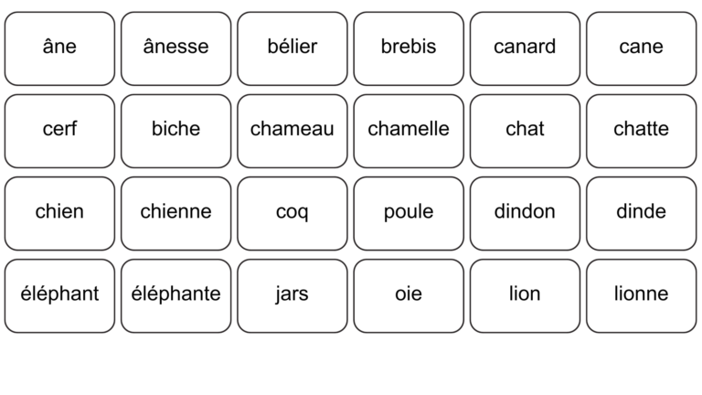 Vocabulaire : cartes des noms d'animaux au masculin et au féminin