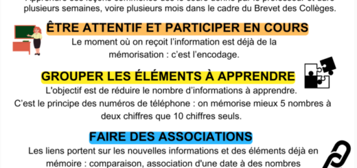 Neurosciences Archives - Apprendre, réviser, mémoriser