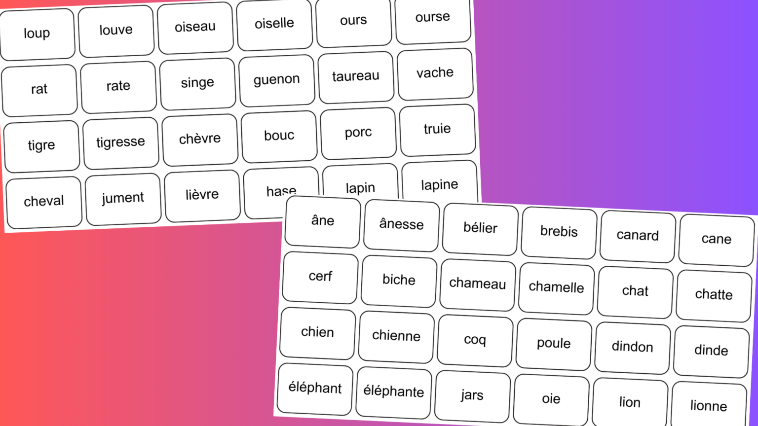 Vocabulaire : cartes des noms d'animaux au masculin et au féminin