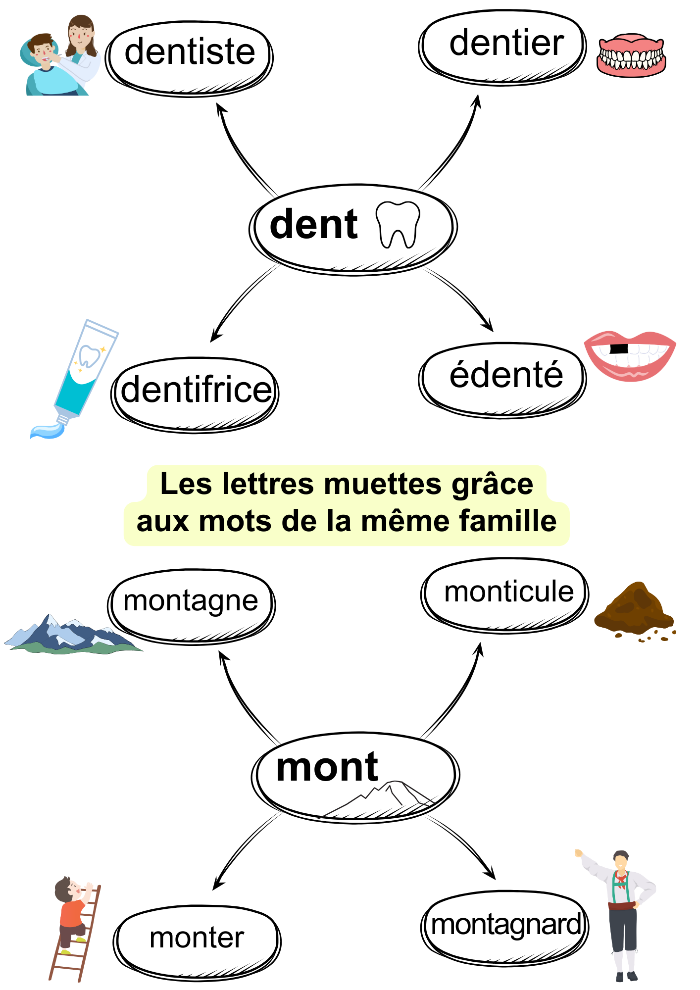 Trouver les lettres muettes grâce aux mots de la même famille (visuel)