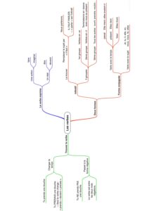 comment reconnaître verbe en français - Apprendre, réviser, mémoriser