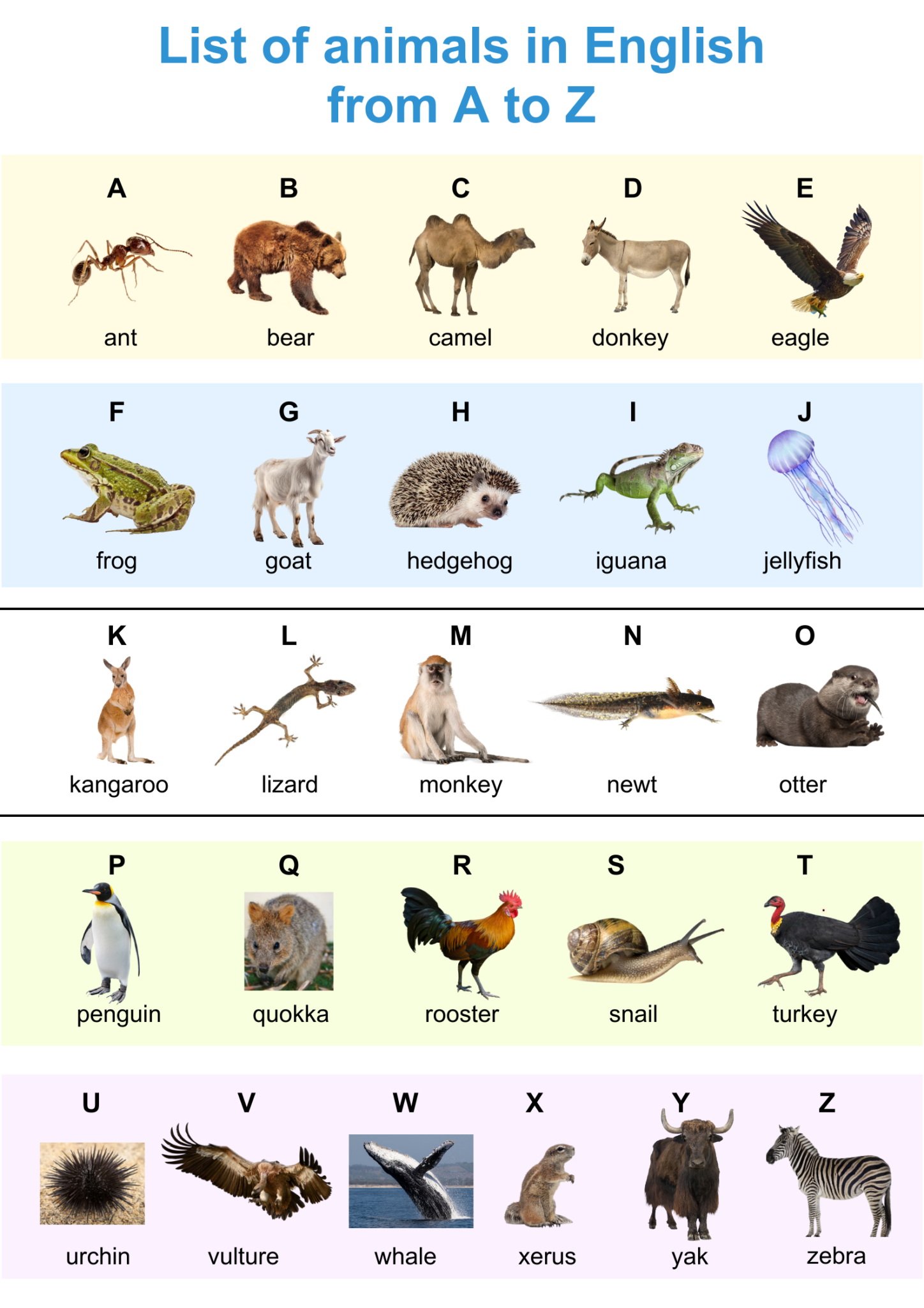 Une affiche avec une liste de noms d'animaux en anglais de A à Z