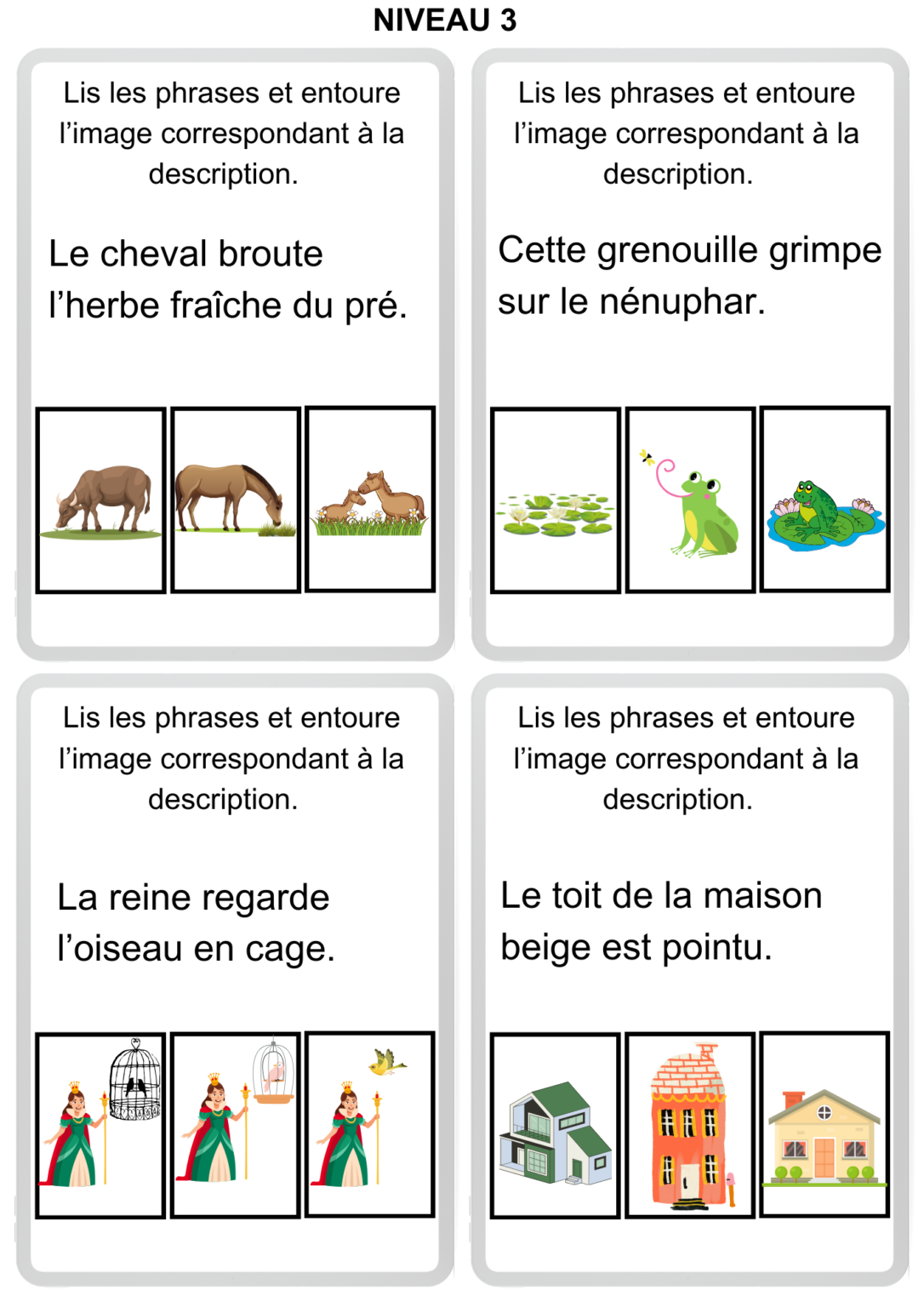 4 fiches de lecture pour le CP (4 niveaux pour la compréhension)
