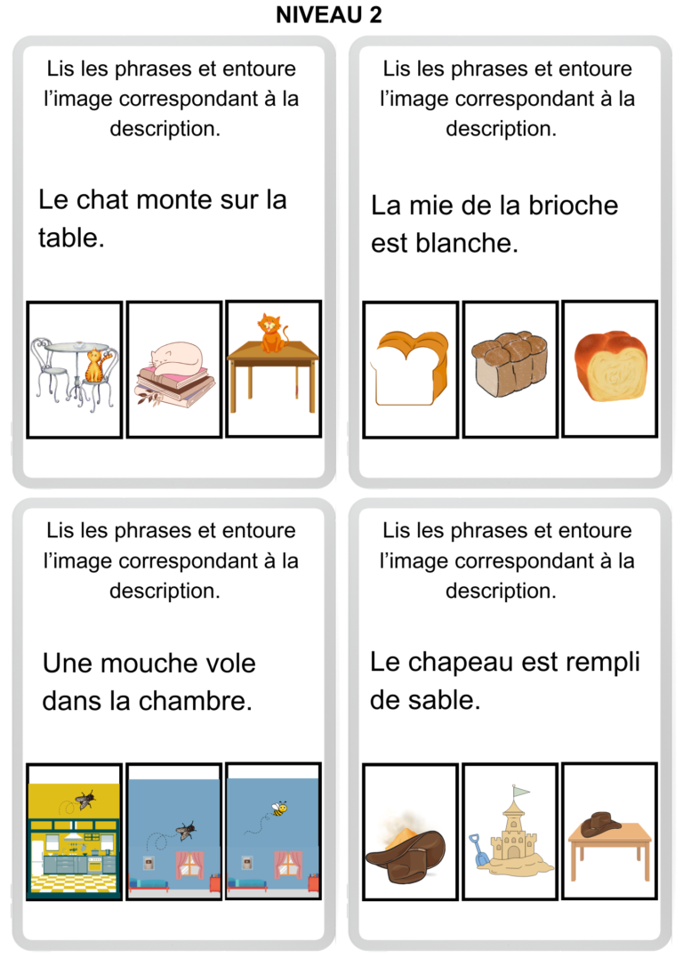4 fiches de lecture pour le CP (4 niveaux pour la compréhension)