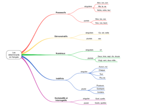 Liste des déterminants en français (sous forme de carte mentale)