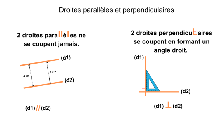Affiche vocabulaire de géométrie : Droites parallèles et perpendiculaires