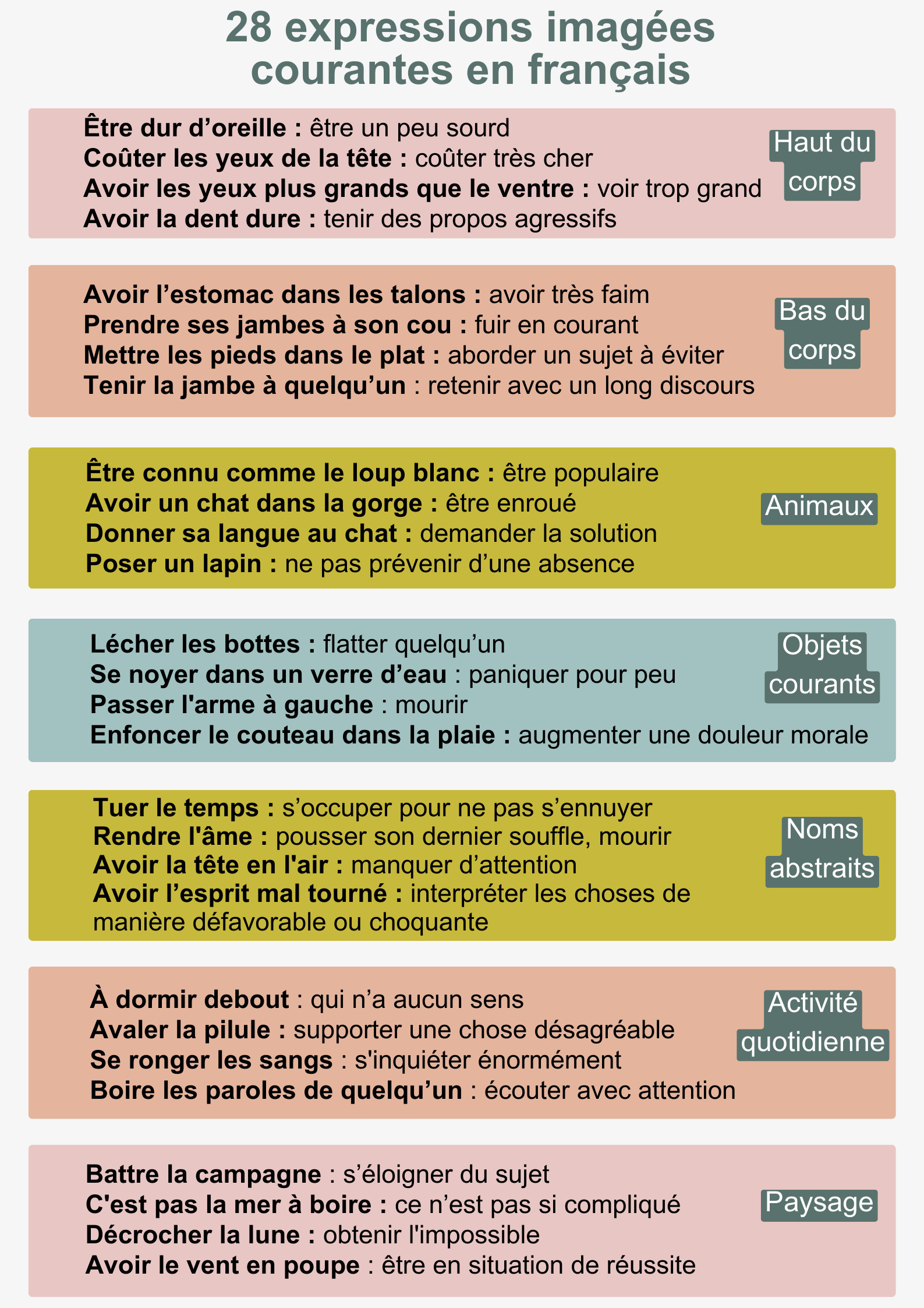 28 expressions imagées courantes en français (affiche à télécharger)