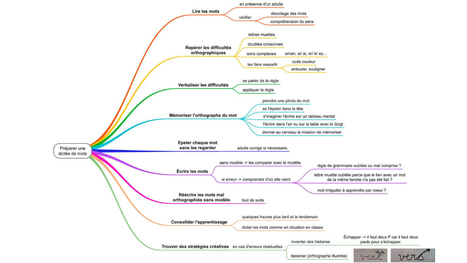 Comment préparer une dictée de mots ? (orthographe en élémentaire)