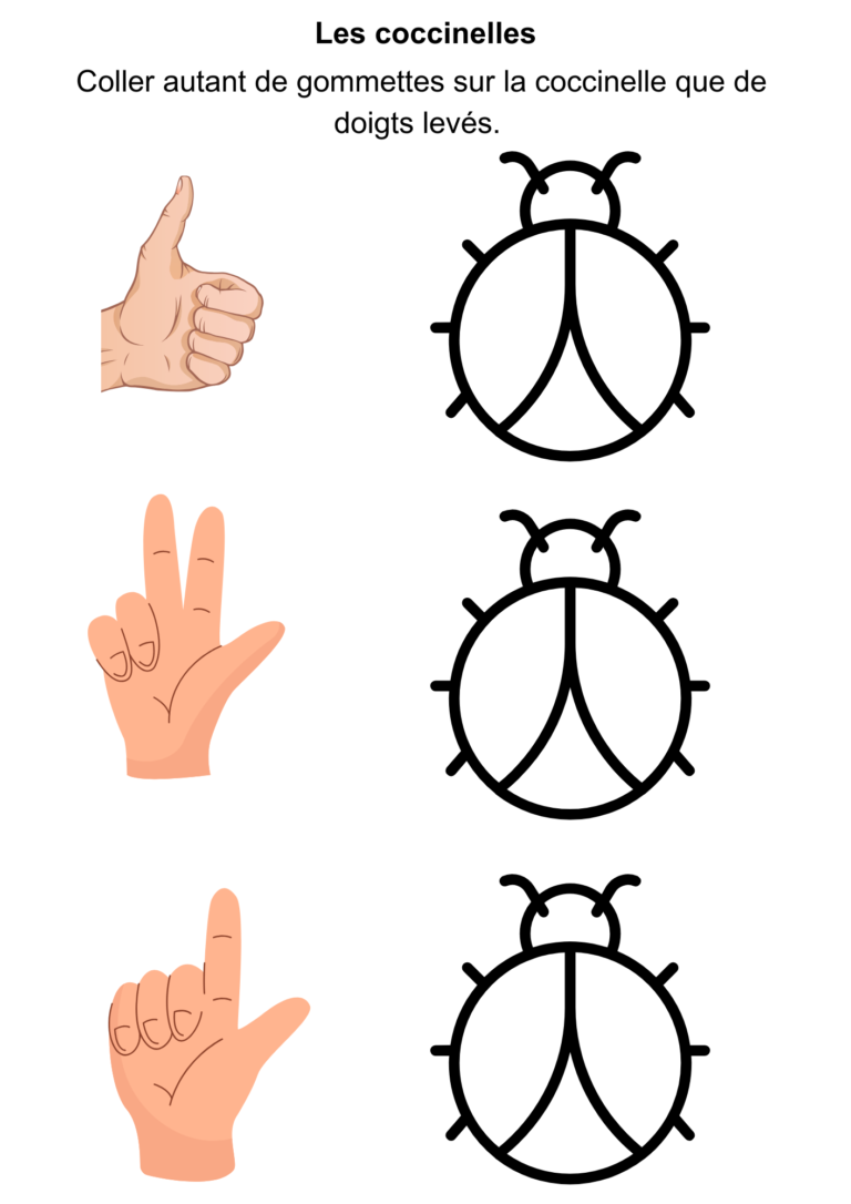 3 fiches pour la numération en maternelle (dénombrement en PS/ MS)