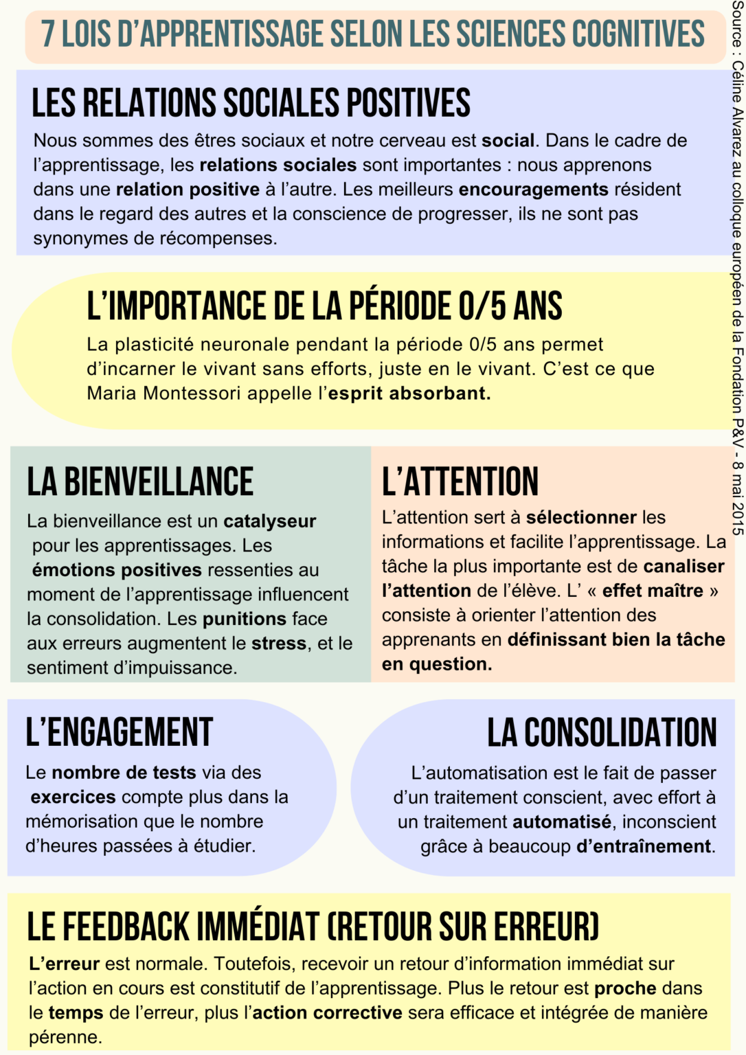 7 grands principes d’apprentissage et d’épanouissement humain