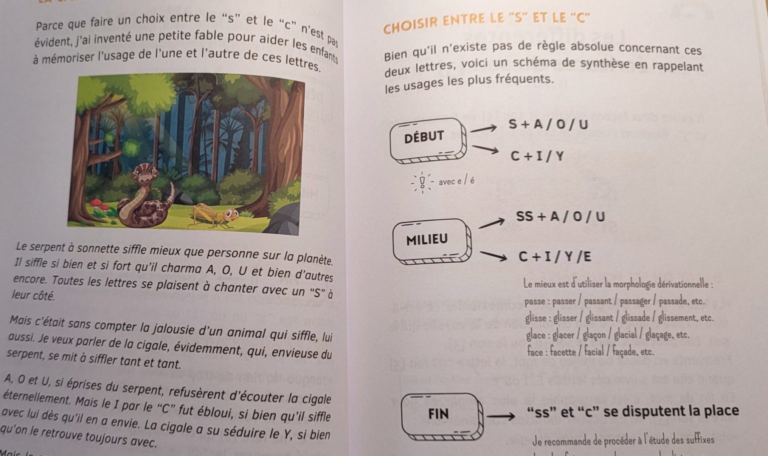 Mon Répertoire des Régularités Orthographiques : présentation et avis