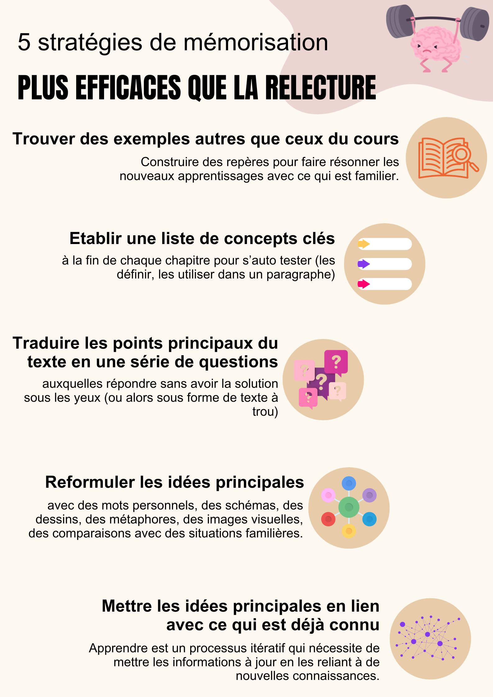 5 stratégies de mémorisation efficaces (plus efficaces que la relecture)