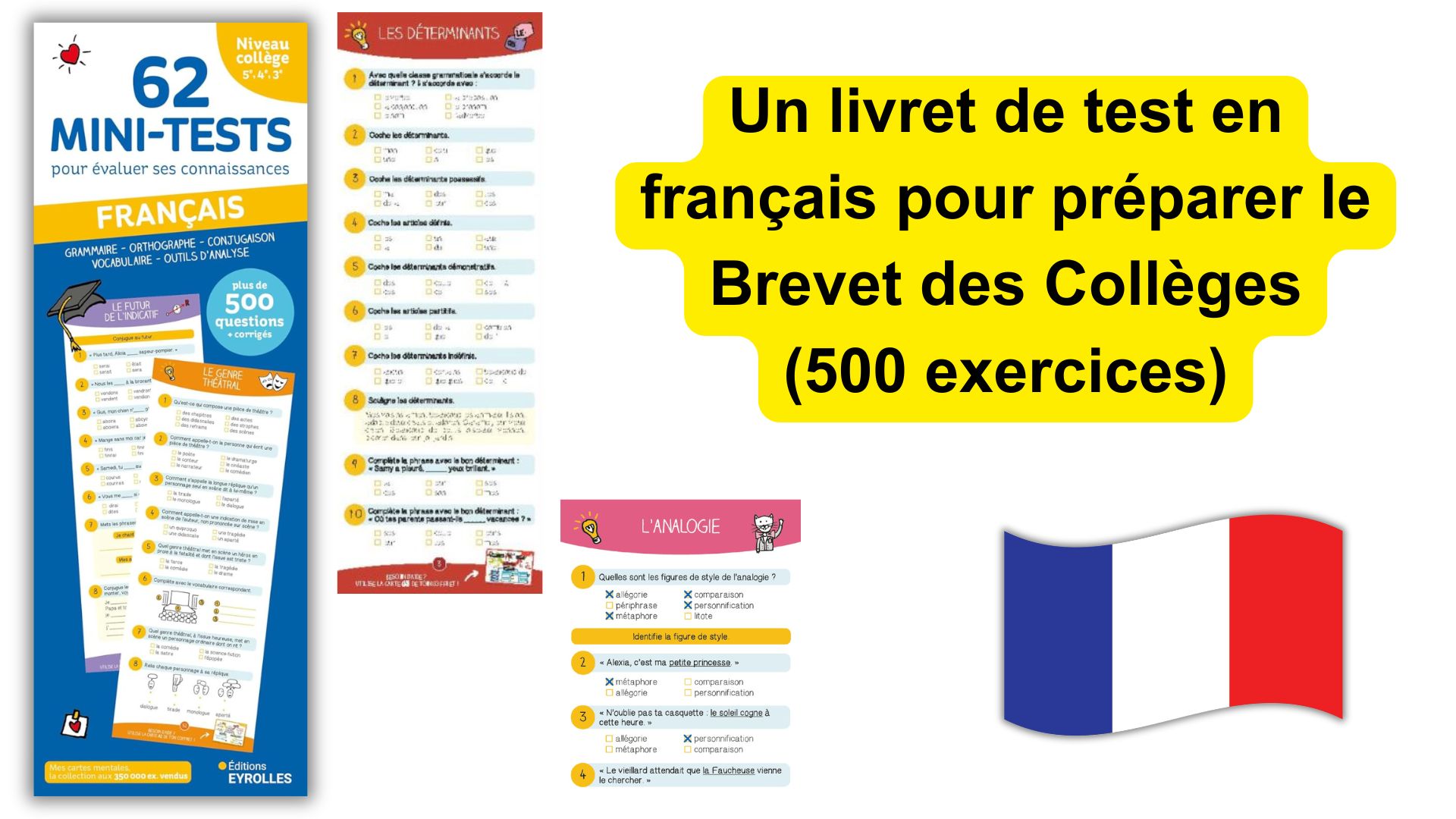 Un livret de test en français pour préparer le Brevet (500 exercices)