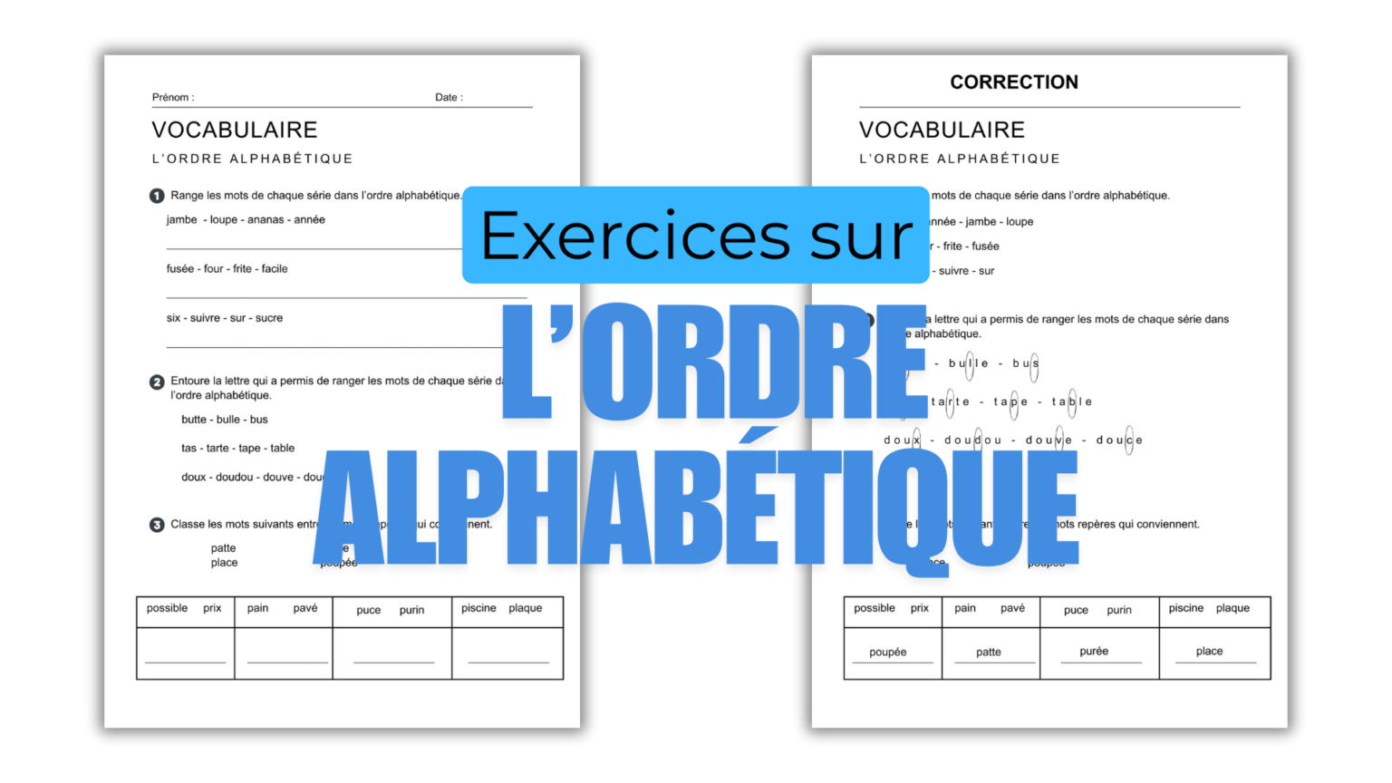 Exercices sur l’ordre alphabétique et le dictionnaire