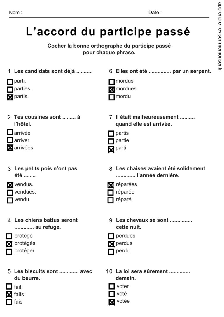 Exercice sur l'accord du participe passé en français
