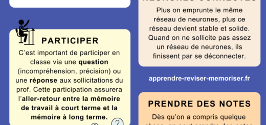 Collège Archives - Apprendre, réviser, mémoriser