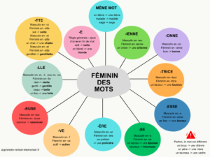 Le féminin des mots (noms et adjectifs en français)