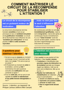 Maîtriser le circuit de la récompense pour stabiliser l'attention