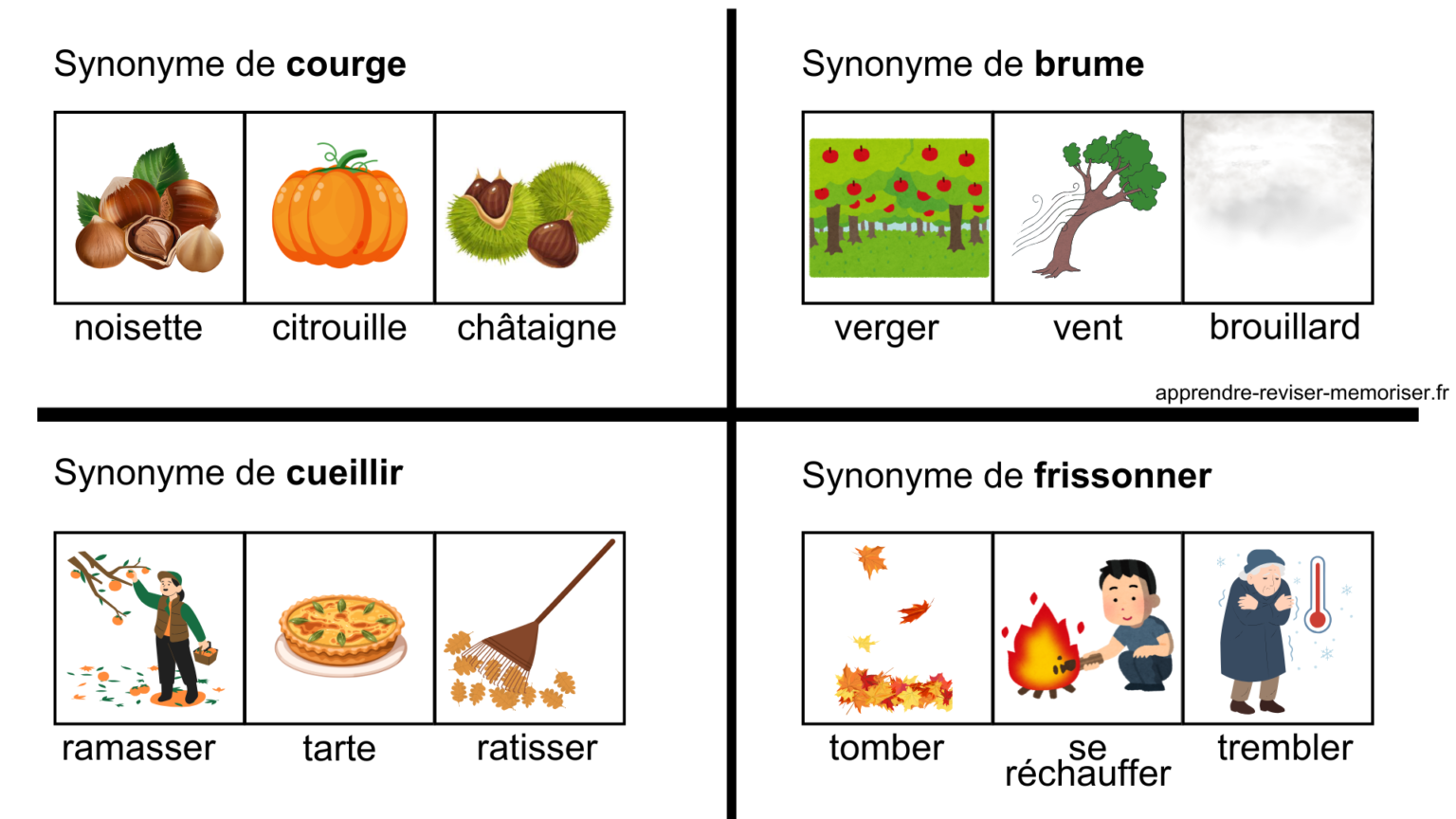 Devinettes : 3 exercices de vocabulaire autour de l'automne