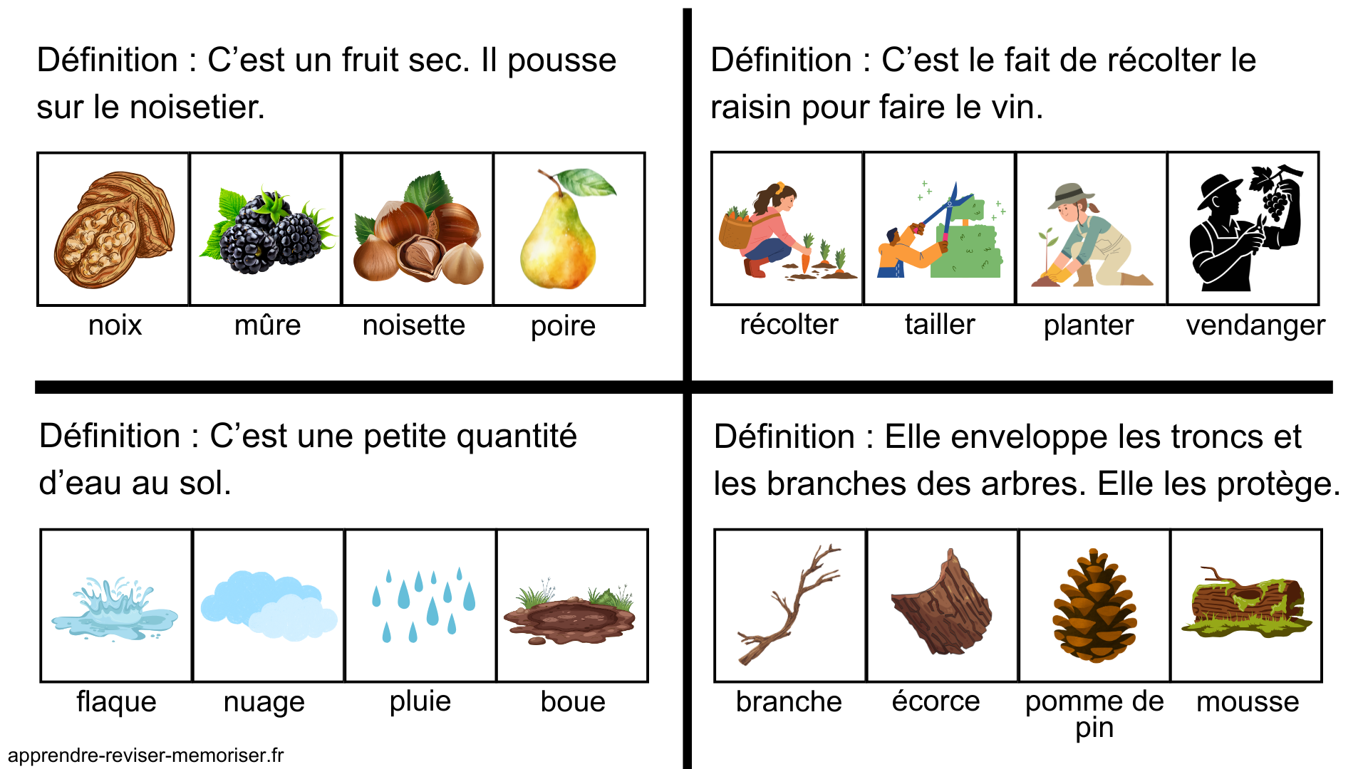 Devinettes : 3 exercices de vocabulaire autour de l'automne