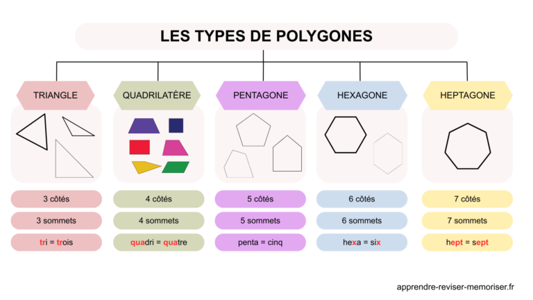 Les types de polygones (carte mentale) - PDF à télécharger